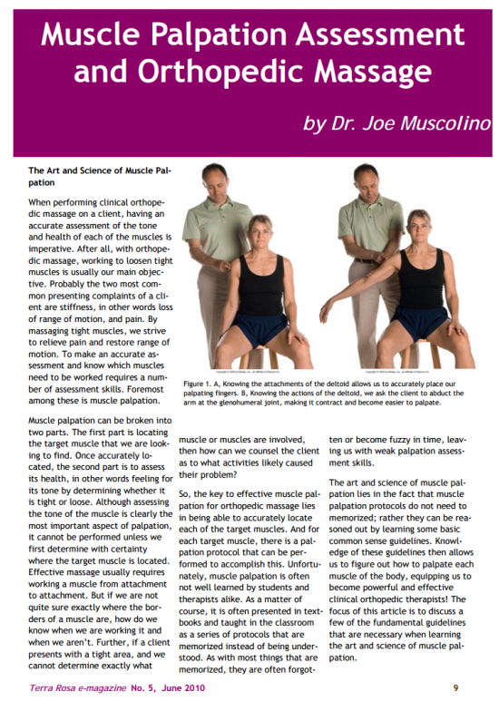 Article - Muscle Palpation Assessment and Orthopedic Massage - Learn ...