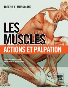 Book Translations - Learn Muscles