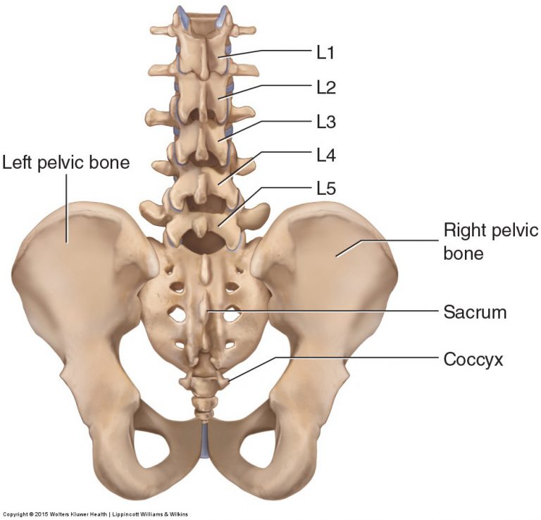 What Is Spinal Joint Dysfunction 