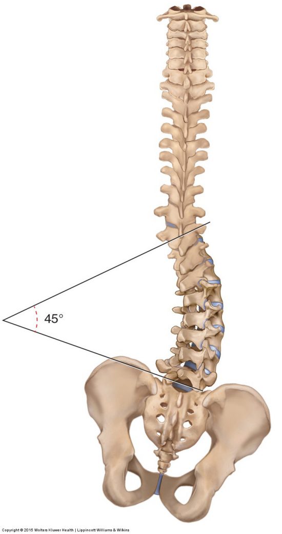 Scoliosis - Postural Distortion Pattern of the Spine