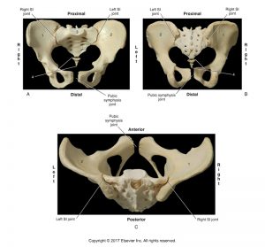 How we assess (diagnose) sacroiliac joint dysfunction?