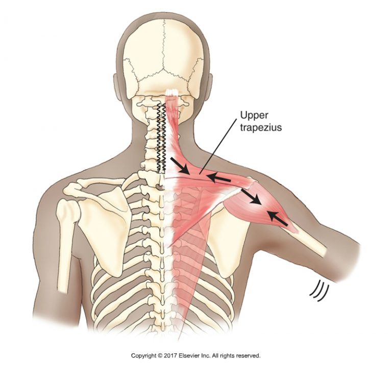 Six Causes Of Shoulder Impingement Syndrome Part 1
