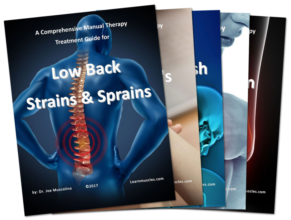 Orthopedic Assessment and Treatment Ebooks - Learn Muscles