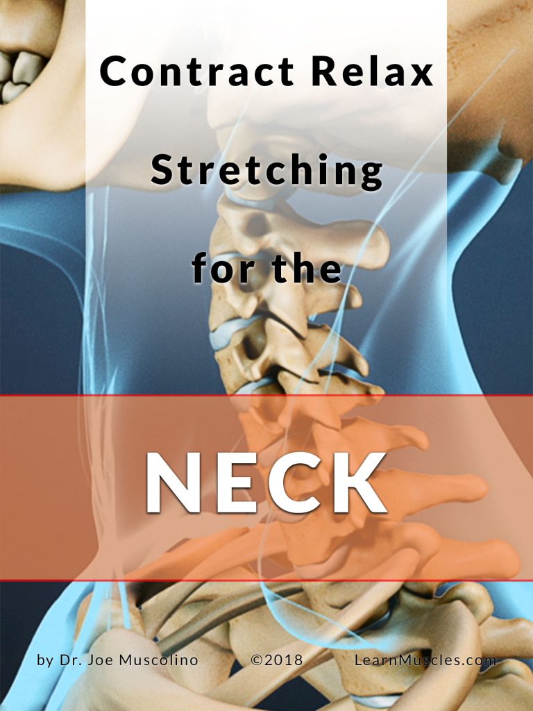 Contract Relax Stretching for the Neck - Learn Muscles