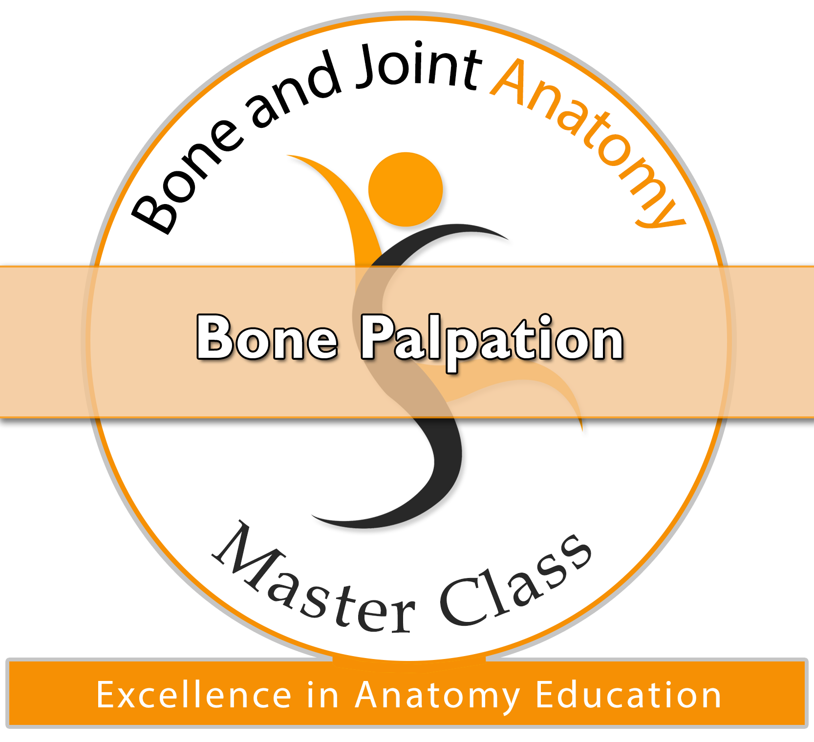 Bone and Joint Anatomy Master Class – Lecture Presentations Archives ...