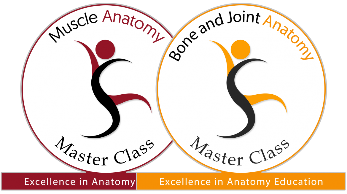 Muscle Anatomy Master Class - Learn Muscles