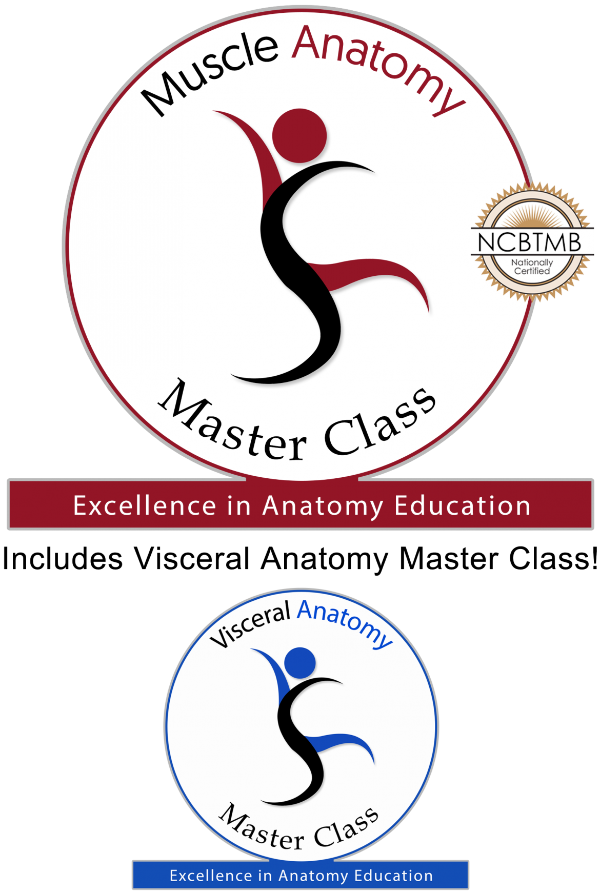 Muscle Anatomy Master Class - Learn Muscles
