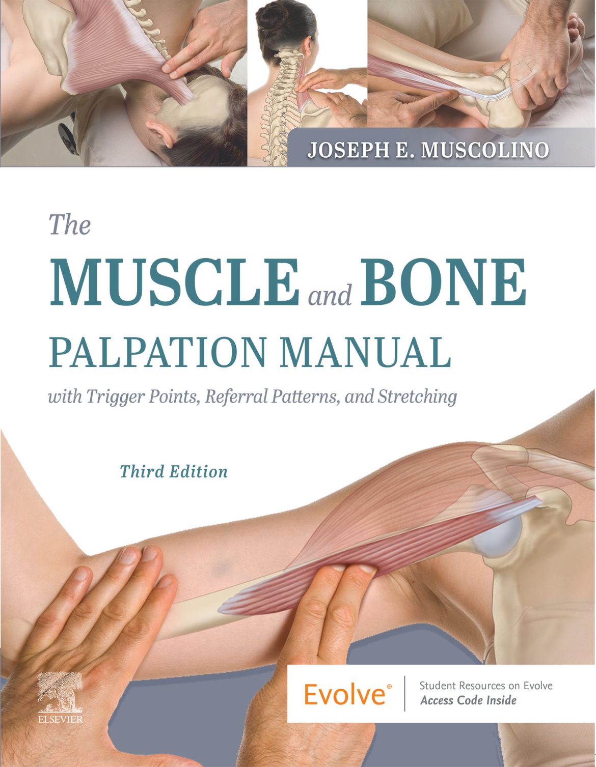 The Muscle and Bone Palpation Manual - Learn Muscles
