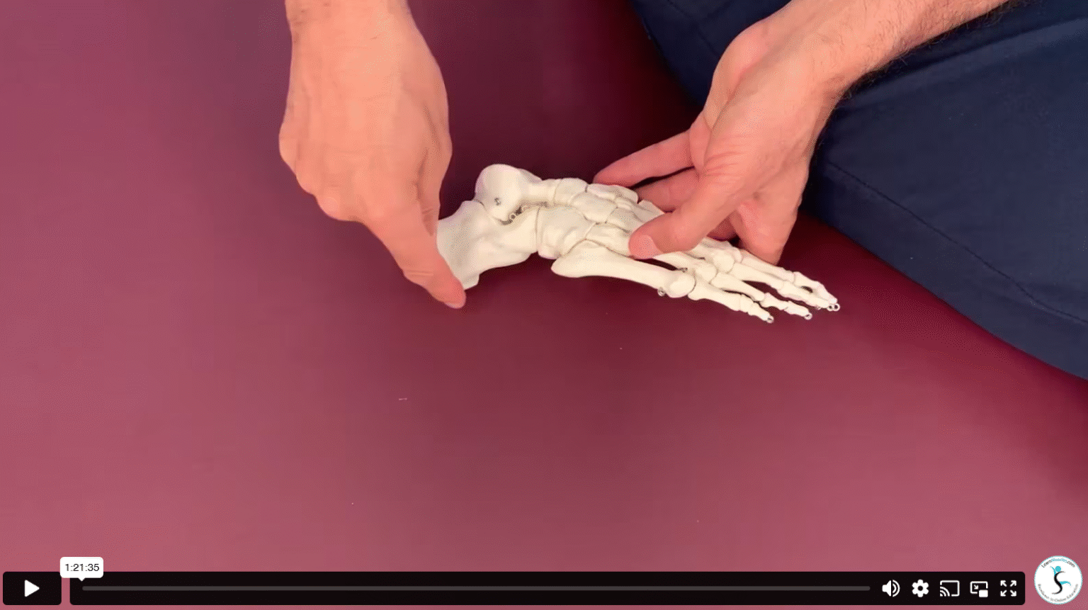 Joint Mobilization of the Foot and Ankle Online Course (1.5 CE Hours ...