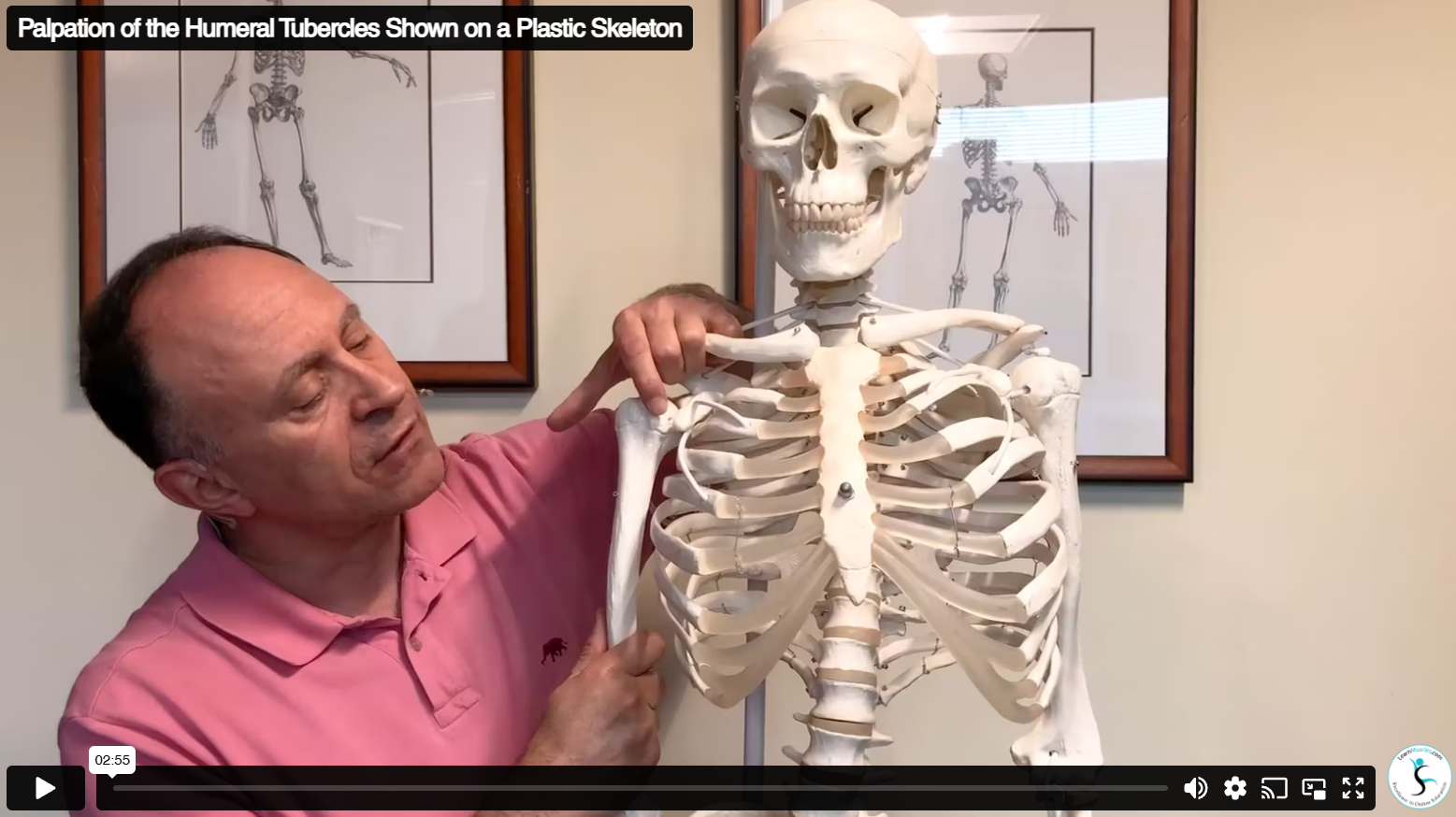 Frozen Shoulder Online Course (1 CE Hour) - Learn Muscles