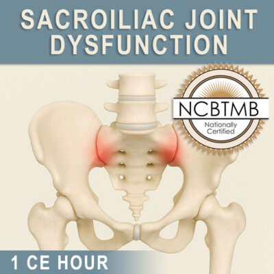 Sacroiliac Joint Dysfunction Online Course (1 CE Hour) - Learn Muscles