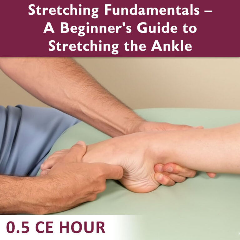 Stretching Fundamentals – A Beginner's Guide to Stretching the Muscles ...