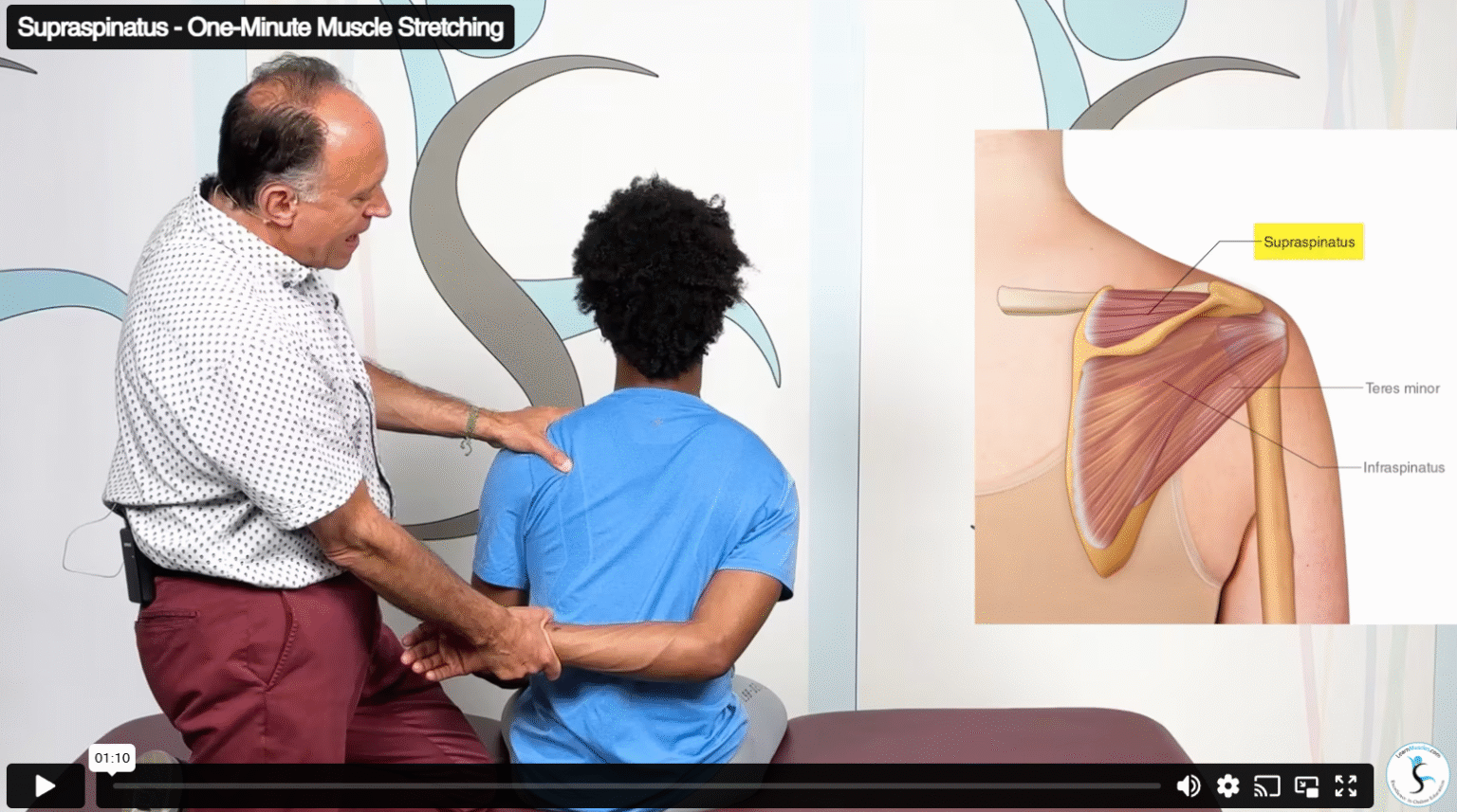 Stretching the Muscles of the Shoulder Girdle – Online CE Course (2 CE ...