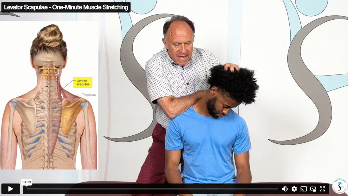Stretching the Muscles of the Shoulder Girdle – Online CE Course (2 CE ...