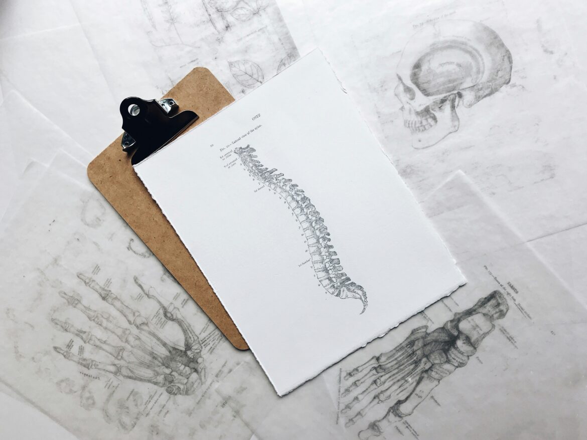 Why Understanding Spinal Biomechanics Is Essential for Long-Term Pain ...